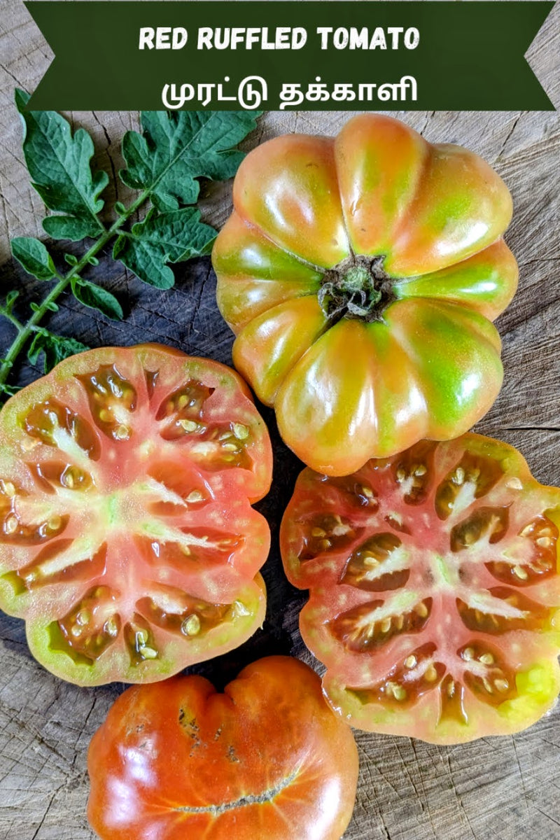 Tomato Red Ruffled Seeds – Krishna’s Dream World